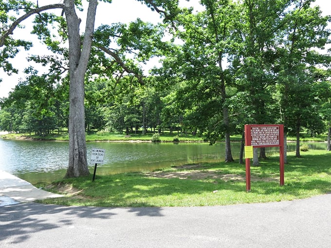 Nature's front porch: Oakland's parks offer tranquil water views where you can contemplate life's big questions or simply watch ducks living their best lives.