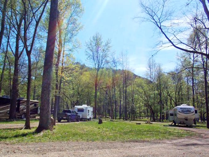 Camping under towering trees offers a peaceful retreat for RV enthusiasts seeking mountain air and starry nights away from urban chaos.