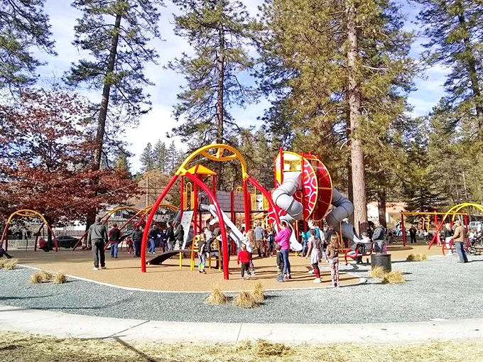 Not all treasure is buried underground&mdash;local families strike gold at this vibrant playground where laughter echoes beneath towering pines.