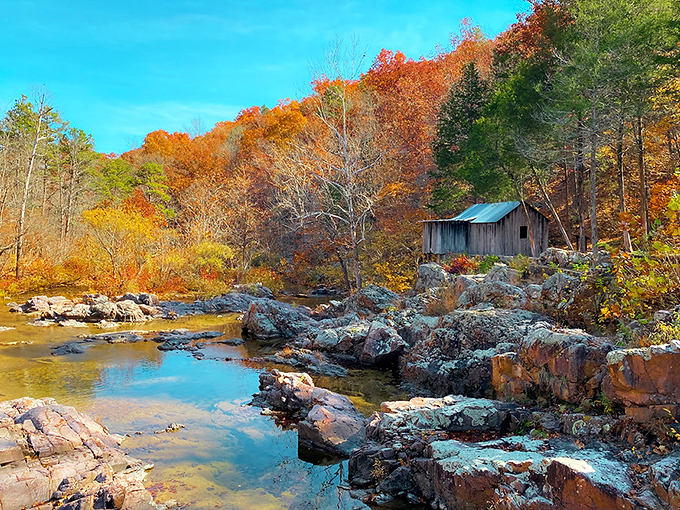 Fall transforms the Ozark waterways into a painter's dream, where rustic cabins and fiery foliage create postcard moments that no filter could improve.