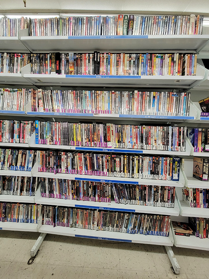 DVD heaven for movie buffs! Thousands of forgotten films line these shelves, each one a $3 ticket to nostalgia night.