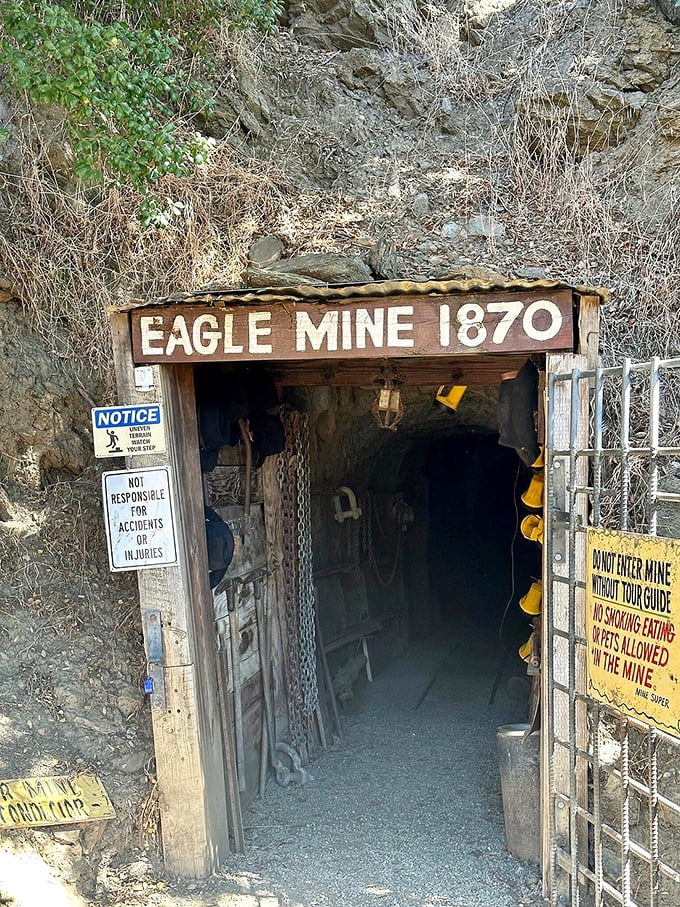 Step into the Eagle Mine and travel back to 1870, when prospectors had bigger dreams than pockets and Julian was just getting started.