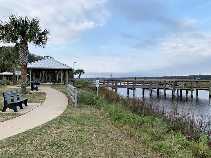 Nature's contemplation lounge complete with its own boardwalk. This peaceful spot is where your blood pressure drops ten points on arrival.