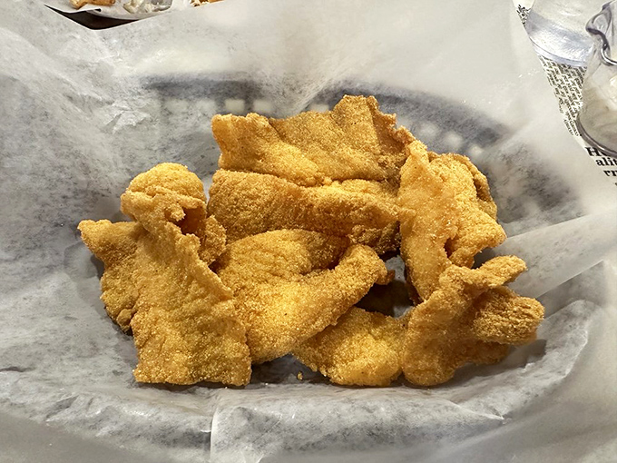 Golden treasures from the fryer that would make Neptune himself abandon his trident for a fork. Cornmeal-crusted perfection worth every mile driven.