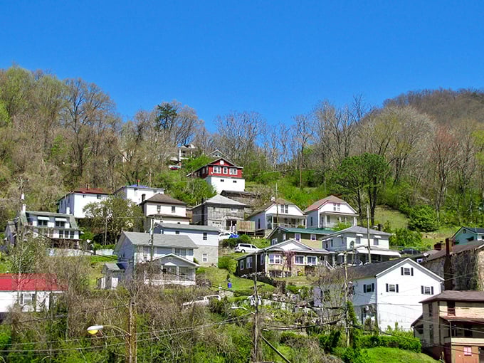 Houses climb impossible slopes like determined mountain goats, creating neighborhoods with more character in one block than most suburbs have in miles.