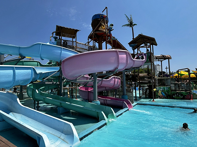 Twisting slides in purple and teal deliver riders into refreshing pools below&mdash;nature's perfect antidote to Maryland's famous humidity.