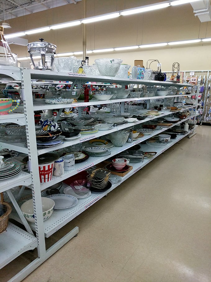 Grandma's kitchen exploded onto these shelves, offering everything from vintage Pyrex to that fondue set you never knew you needed.