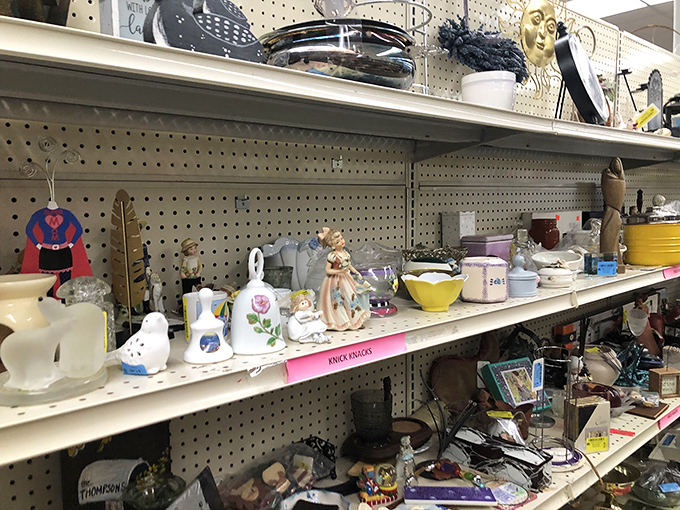 Shelf life extraordinaire! From ceramic figurines to forgotten trophies, this is where yesterday's tchotchkes become tomorrow's conversation starters.