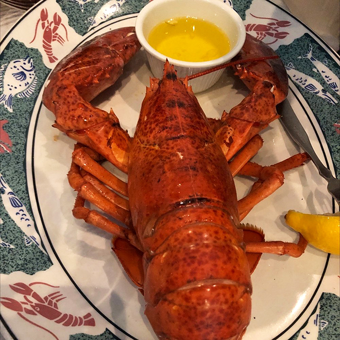 This magnificent lobster, resplendent in its crimson armor, isn't just dinner&mdash;it's a crustacean celebration waiting to be dipped in that golden butter.