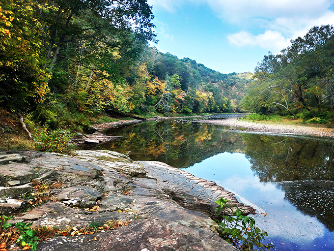 A charming blue cottage framed by autumn's golden canvas&mdash;proof that Lewisburg knows how to dress for fall better than most fashion designers. 