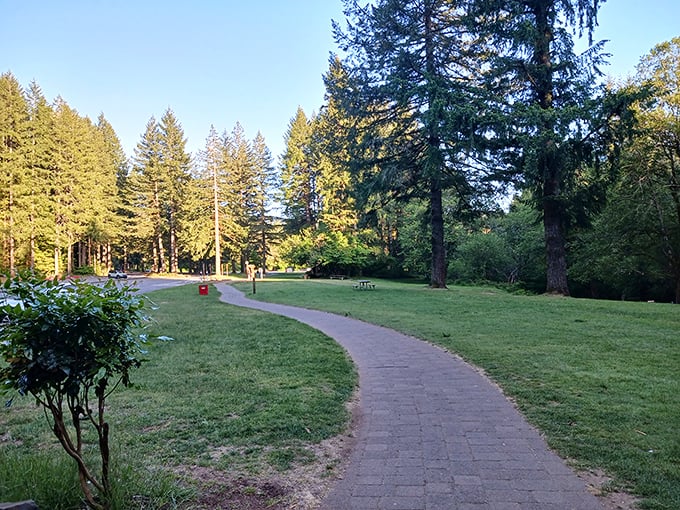 The park's winding pathways invite exploration like a choose-your-own-adventure book, where every turn promises another postcard-worthy vista.