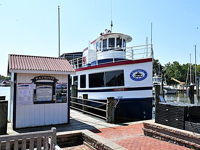 All aboard the Patriot! Where history lessons come with a side of bay breeze and the gentle rocking that makes everything—even learning—more pleasant.