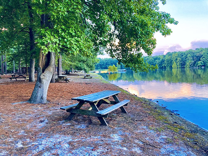 Lunch with a million-dollar view that only costs a sandwich. This picnic spot outclasses any five-star restaurant's ambiance.