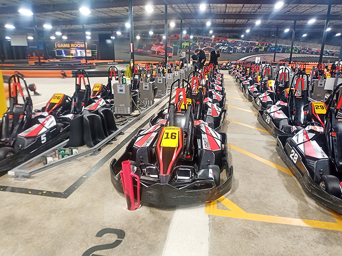 Lined up like mechanical thoroughbreds at the starting gate, these sleek electric karts stand ready to deliver zero-emission adrenaline rushes.