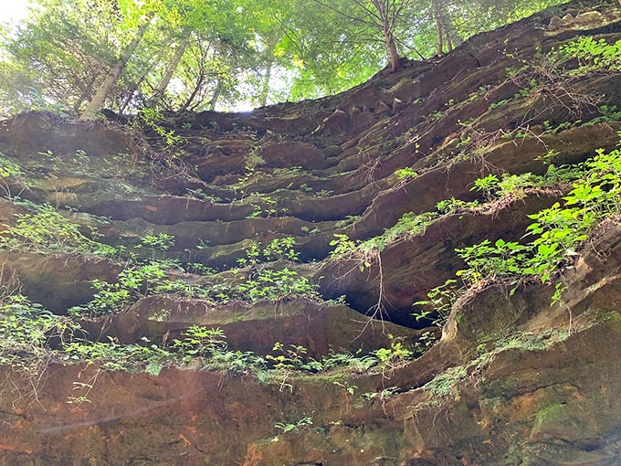 Ancient sandstone tells Indiana's geological story one layer at a time. These 340-million-year-old formations have more wrinkles than a shar-pei puppy after a bath.