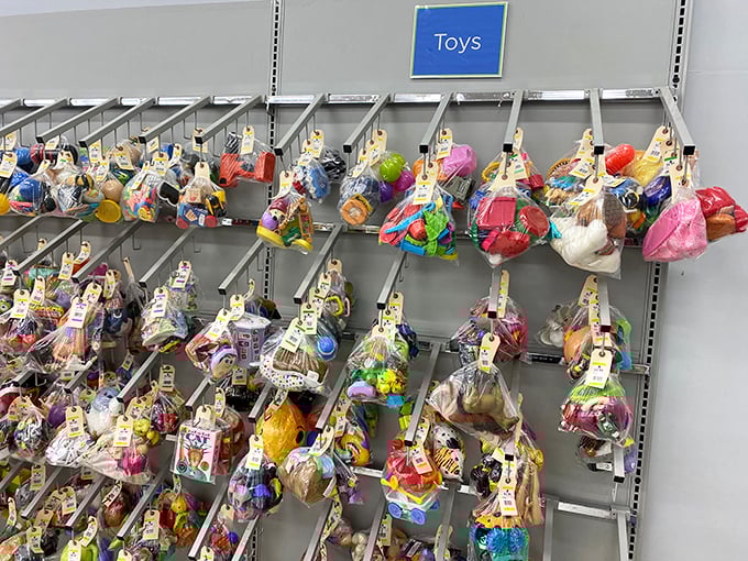 Toy paradise organized in clear bags&mdash;genius! Each one a surprise package of childhood nostalgia waiting to be rescued.