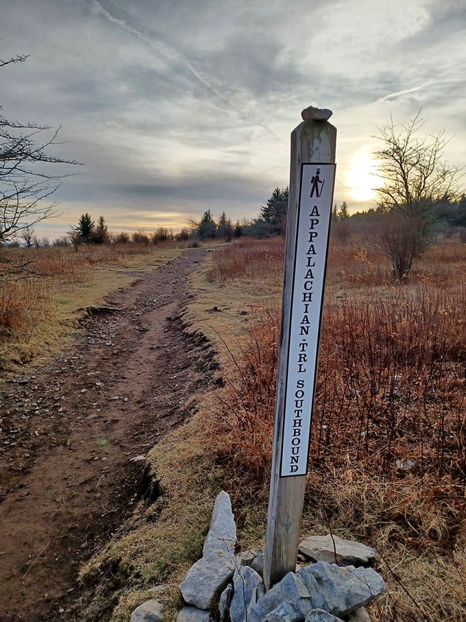 The Appalachian Trail marker stands sentinel at dusk. Thousands have passed this post seeking adventure or just really good calves.