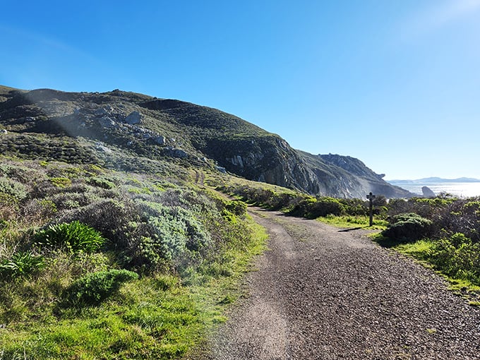 The path less traveled beckons with rugged charm. This winding trail promises adventure with every step, like a real-life "Choose Your Own Adventure" book.