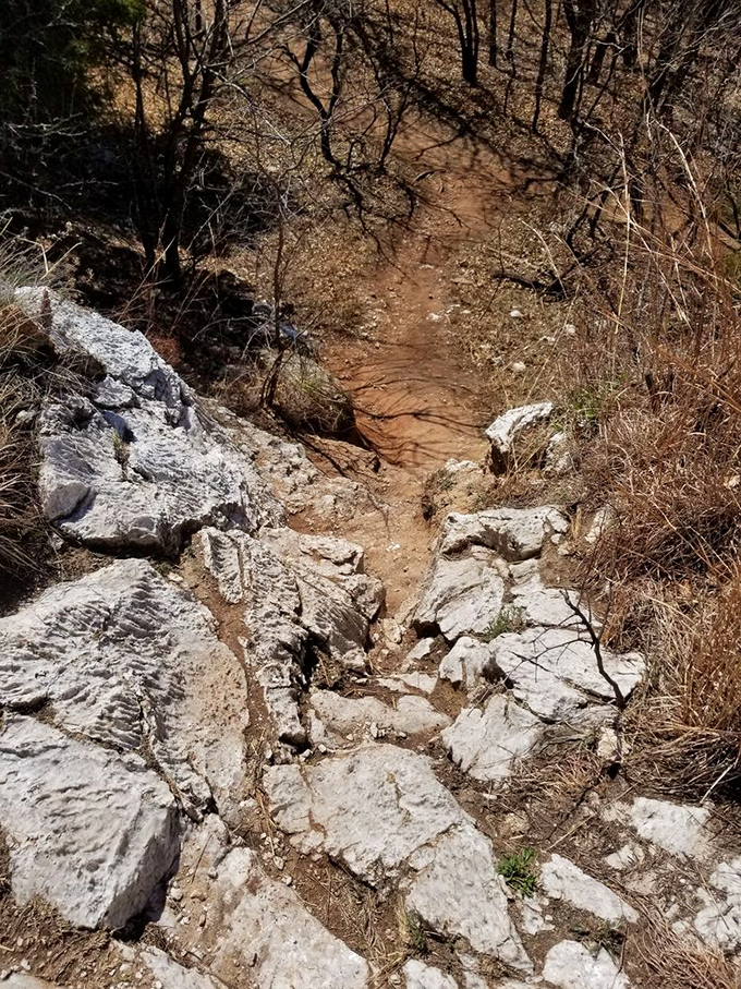 The trail less traveled offers rocky challenges and dusty rewards, proving Oklahoma's terrain has more personality than most people's dating profiles.