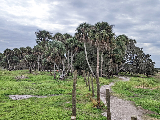 Palm sentinels stand guard over pathways that have witnessed centuries of Florida history. The trail ahead whispers, "Slow down, the best views aren't on your phone."