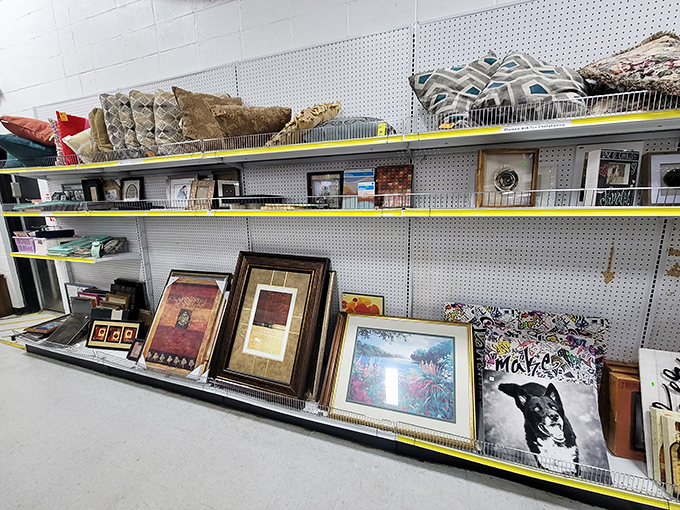 Wall art paradise! From inspirational quotes to landscapes that once graced 1990s dentist offices, every frame tells a story of its previous life.