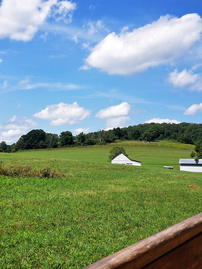 Blue skies, green fields, white barns&mdash;Maryland's countryside palette at its finest. Like finding yourself inside a landscape painting you can actually explore.