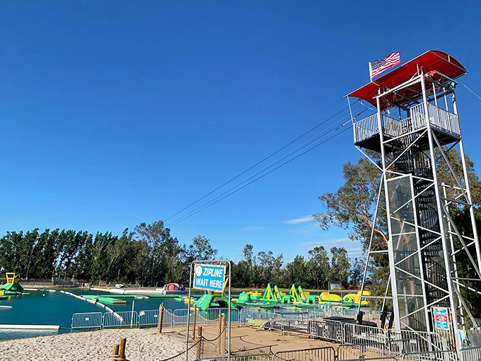 The observation tower stands sentinel over aquatic chaos below, where the American flag waves as if to say, "Freedom includes the right to belly flop spectacularly."