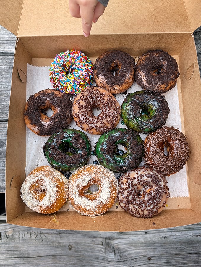 A dozen reasons to abandon your beach diet, arranged in a cardboard ark of temptation. That rainbow sprinkle one is practically winking at you.