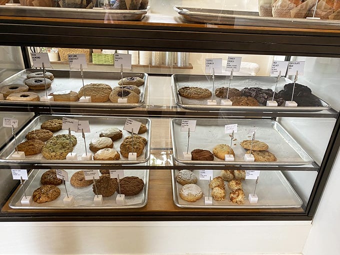 Cookie paradise awaits! From classic chocolate chip to adventurous mint chocolate, each one promises that perfect balance of crisp edge and chewy center.