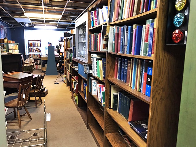 Literary heaven for bibliophiles—these shelves don't just hold books; they harbor first editions, forgotten classics, and the distinct perfume of paper memories.