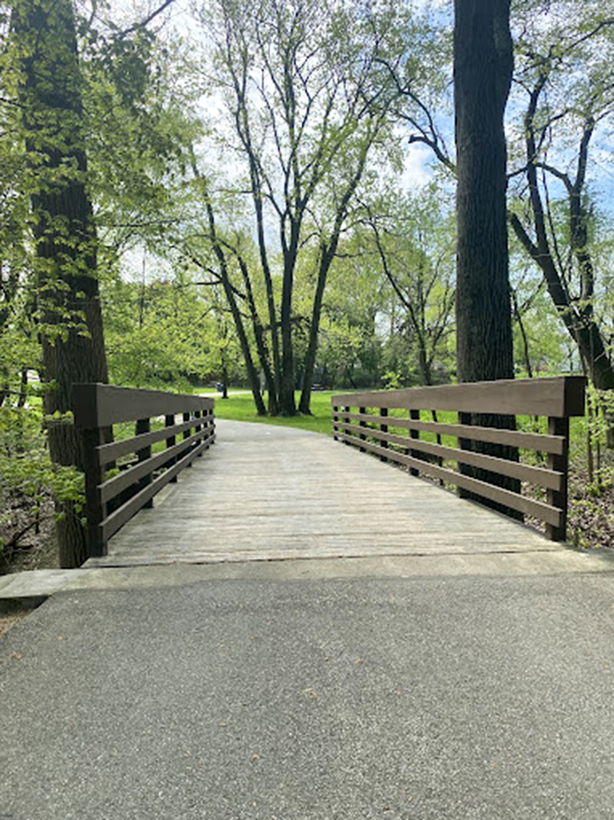 Bridges like this don't just connect trails; they connect us to simpler times when a wooden crossing meant adventure waited on the other side.