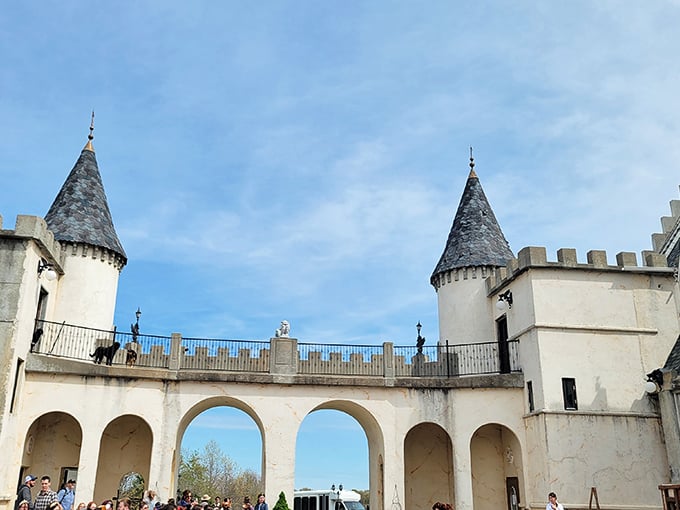 Standing on the castle's bridge feels like you're about to announce the arrival of royalty&mdash;or at least someone who scored priority parking.