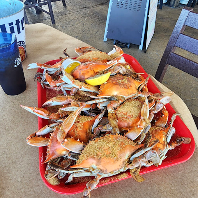 Delaware blue crabs, spice-crusted and ready for battle. Your weapons: wooden mallet, paper towels, and the patience of a fisherman.