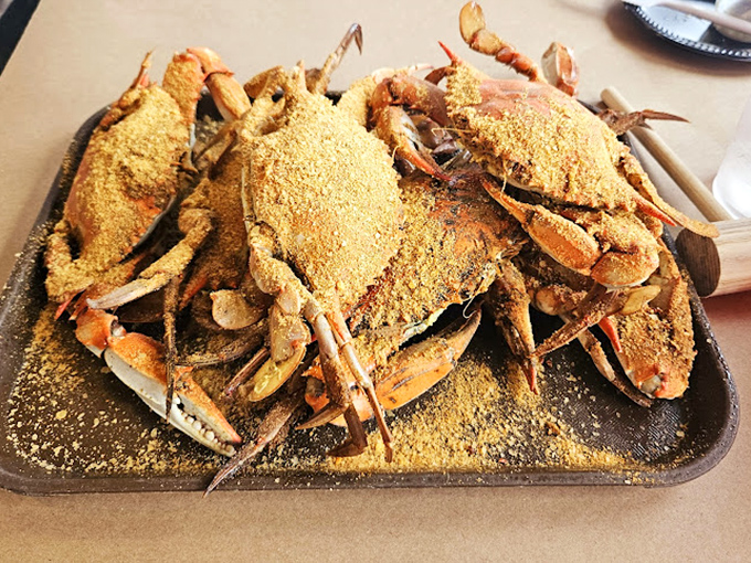 Old Bay-dusted warriors of the Chesapeake, standing at attention before the battle of fork versus claw begins.