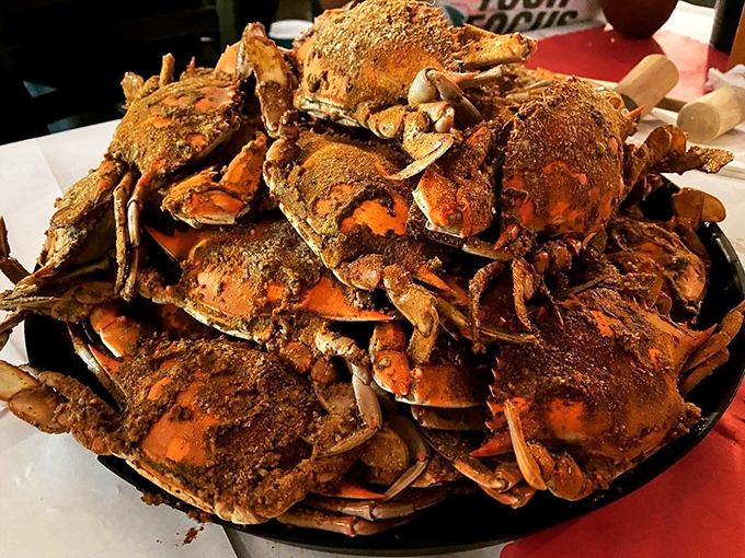 Maryland blue crabs stacked high and generously dusted with spice. This isn't just dinner&mdash;it's a delicious construction project requiring both hands and zero inhibitions.