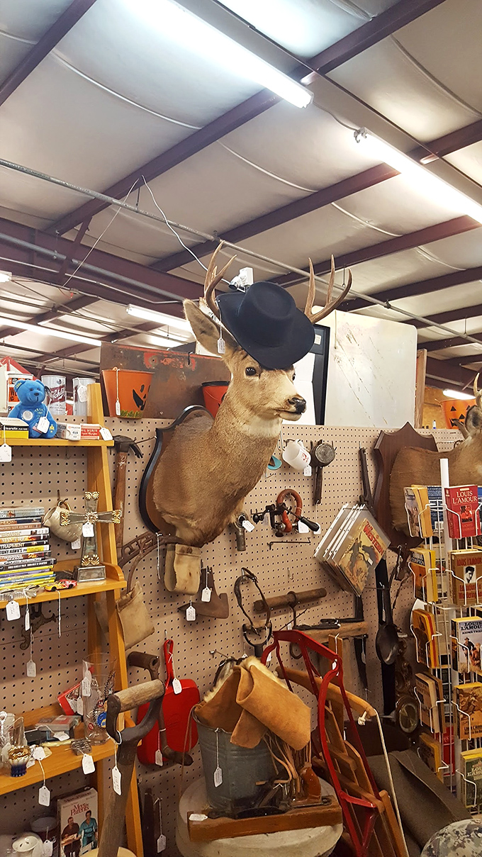 Even the wildlife dresses up at Heartland. This dapper deer seems to ask, "Like my hat? It's vintage, darling."