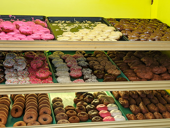 A colorful mosaic of fried perfection. Each tray tells a different sweet story, from pink-frosted joy to chocolate-dipped bliss.