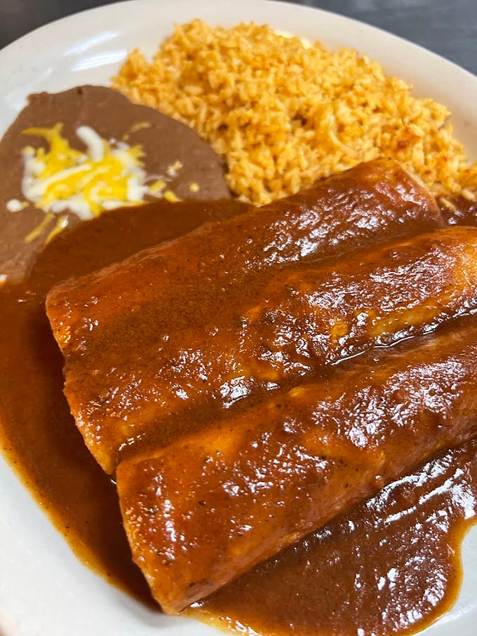 Enchiladas bathed in rich, mahogany-colored sauce that whispers of distant chiles, paired with rice that's actually worth eating.