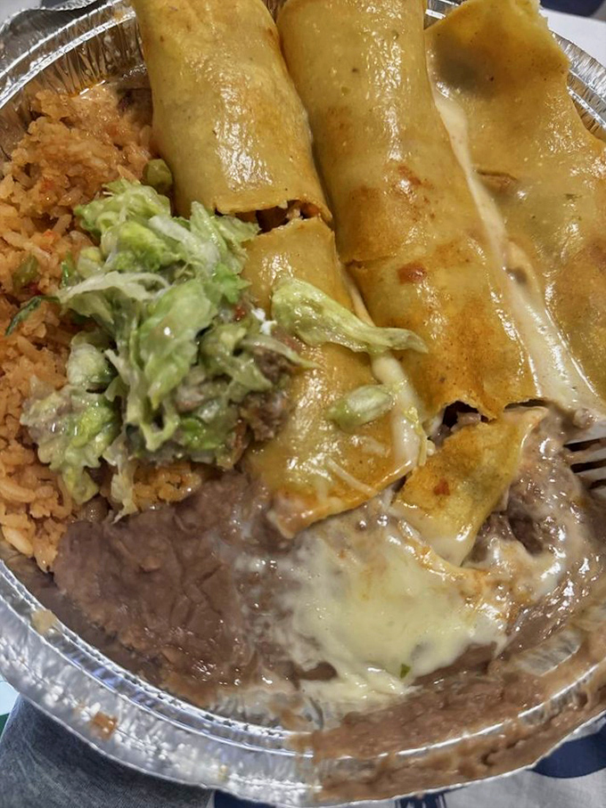 These enchiladas aren't just served; they're presented with the confidence of something that knows it's about to change your life. The guacamole dollop is the chef's mic drop.