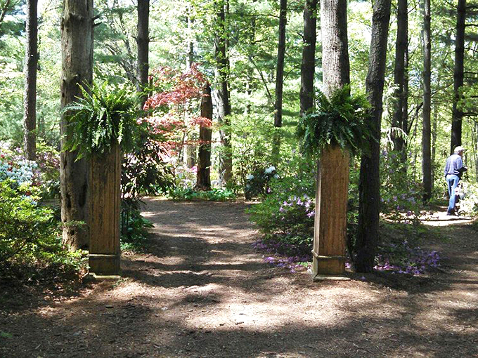 Gateway to serenity: rustic pillars adorned with ferns create a threshold between everyday life and the botanical wonderland that awaits beyond.