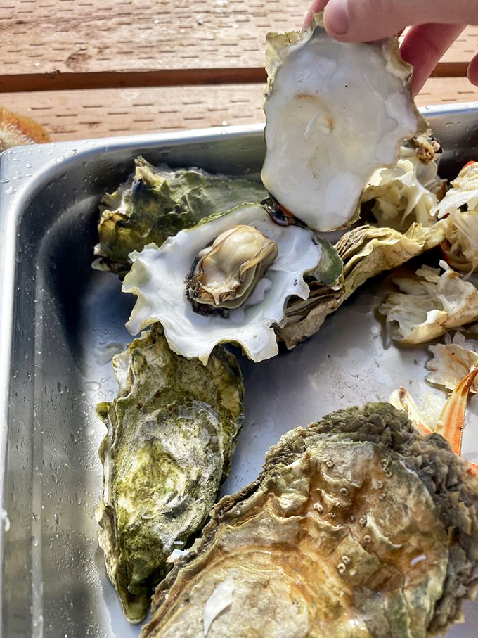 These aren't your fancy restaurant oysters with pedigrees longer than European royalty&mdash;they're honest-to-goodness treasures plucked straight from Nehalem Bay.