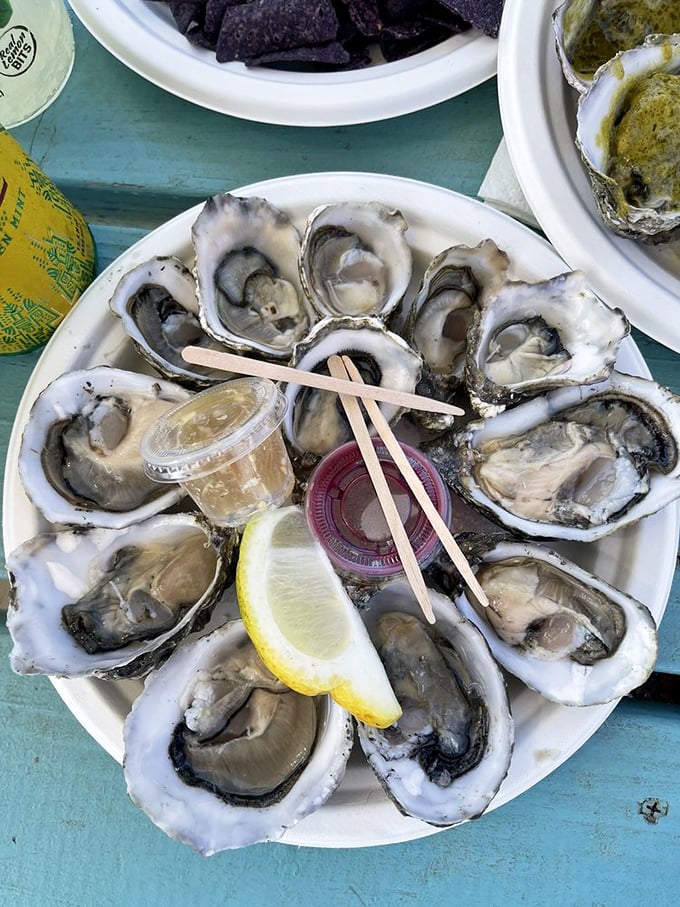 Nature's perfect appetizer&mdash;briny, plump, and glistening with possibility. These aren't just oysters; they're edible time machines to the ocean.