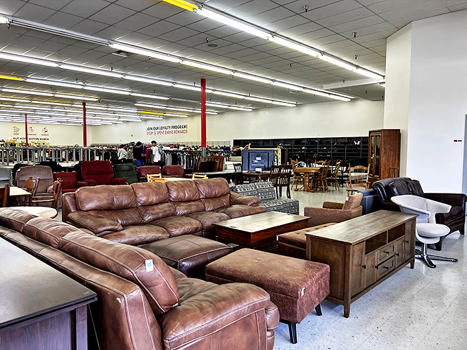 Living room time capsules arranged like a furniture museum, where leather sectionals from different decades compete for your attention.