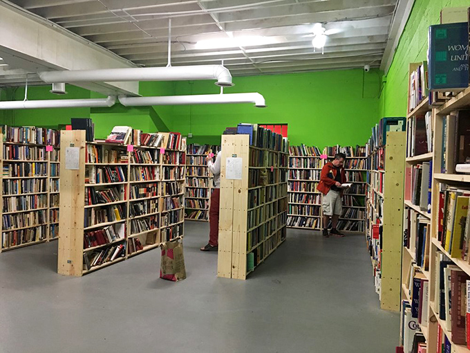 Welcome to the emerald room, where verdant walls cradle thousands of stories waiting for adoption. Free books create the ultimate literary democracy.