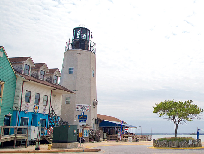 The Lighthouse Restaurant stands sentinel over Rehoboth Bay, a beacon for both sailors and hungry visitors seeking seafood with a side of sunset.
