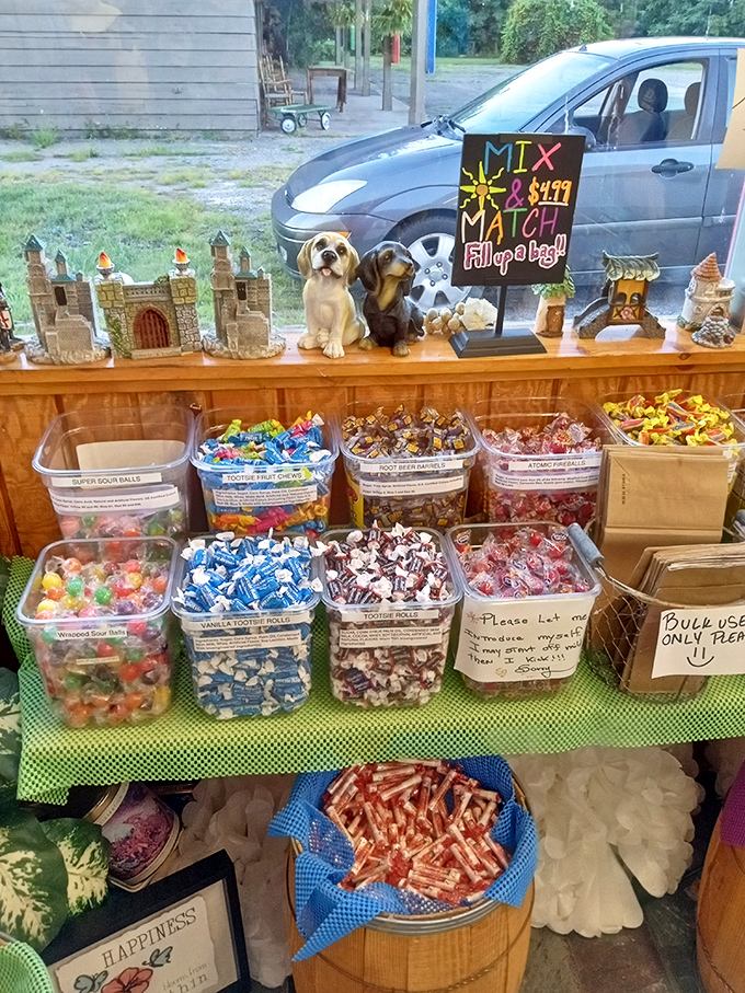 The mix-and-match section lets you play candy curator, creating your own sugar symphony with classics like Atomic Fireballs and Sour Patch Kids.