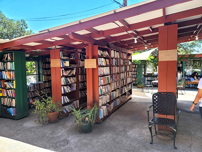Red-painted columns support both roof and literary dreams in this outdoor sanctuary where potted plants add touches of green between endless spines.