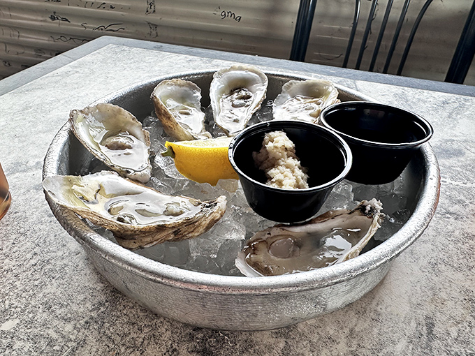 These oysters aren't dressed for a fancy party; they're just naturally perfect, like nature's little cups of briny perfection.