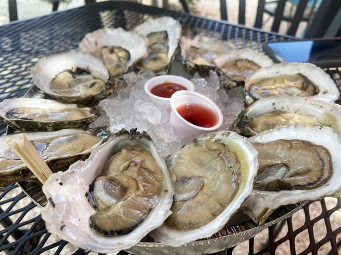 These oysters aren't just served; they're presented like the crown jewels of the Chesapeake. Nature's perfect appetizer, requiring nothing more than a squeeze of lemon and appreciative silence.