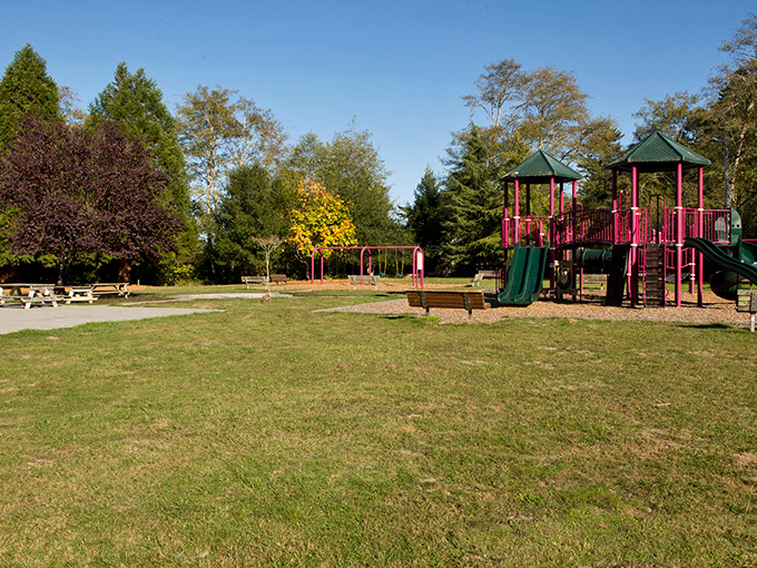 Even the playground feels nostalgic in Ferndale, where kids swing and slide under towering trees that have witnessed generations of family picnics.